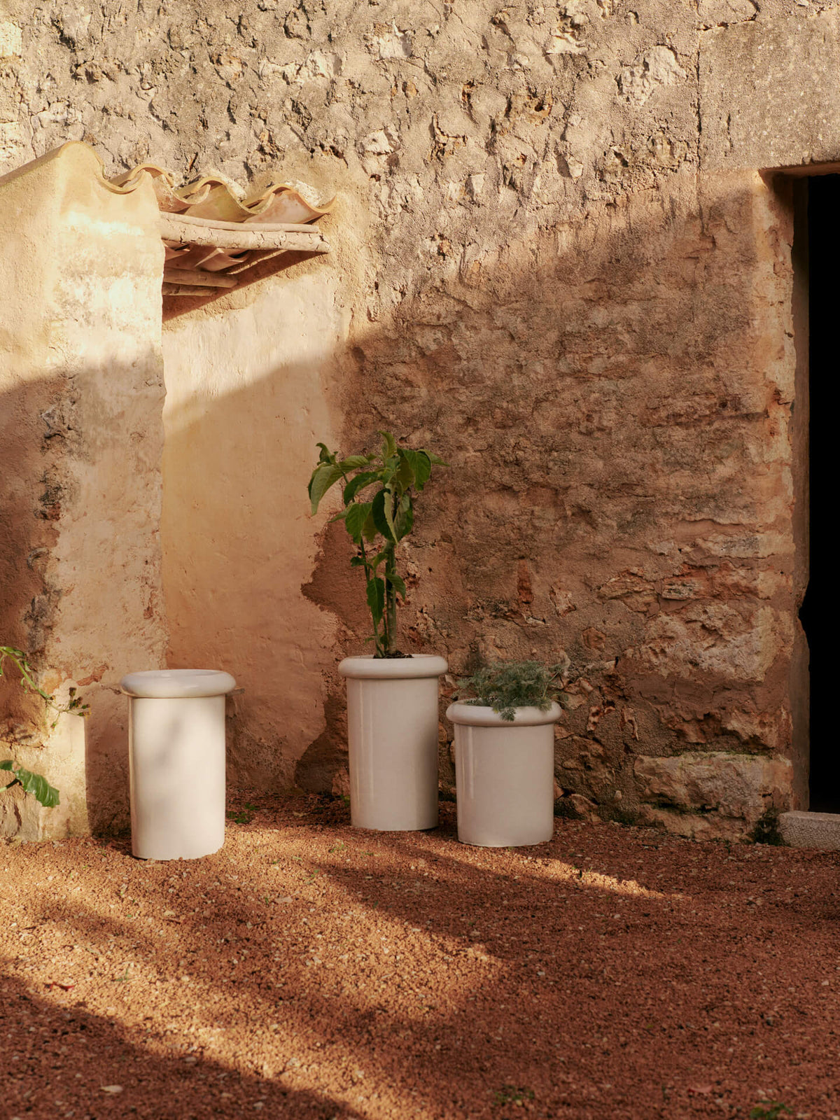 Rollo Pot - More Options | BEAM