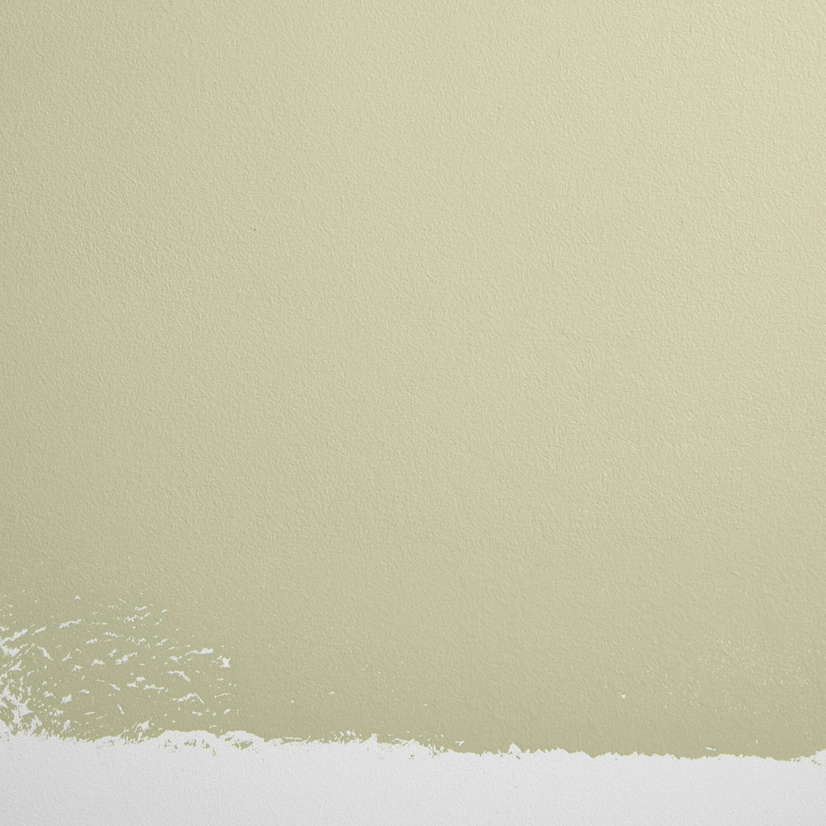 Backdrop Paint - Natural Habitat | BEAM