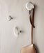 Chanterelle Hook / Knob - More Options | BEAM